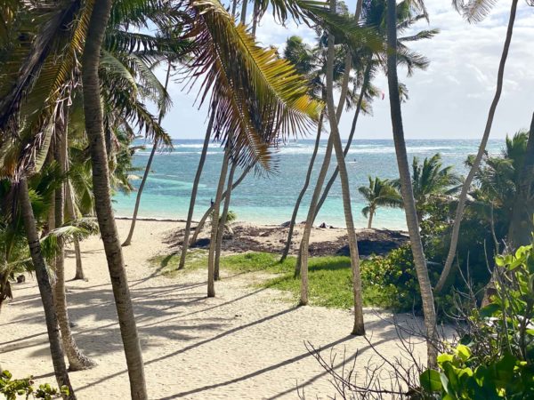La plage des Salines en Martinique - Voyage Martinique en Vue Turquoise