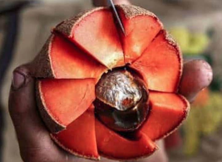 Les Fruits de Martinique et des Antilles - Voyage Martinique en Vue ...