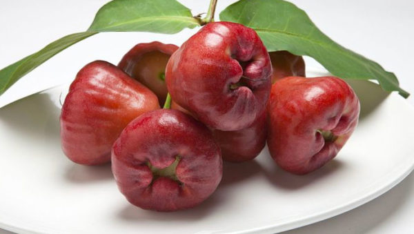 Les Fruits de Martinique et des Antilles - Voyage Martinique en Vue ...