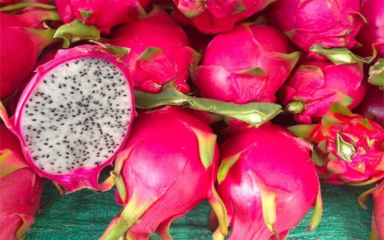 Les Fruits de Martinique et des Antilles - Voyage Martinique en Vue ...