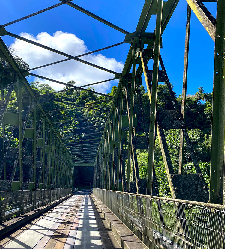 Balade insolite dans le Nord Atlantique de la Martinique