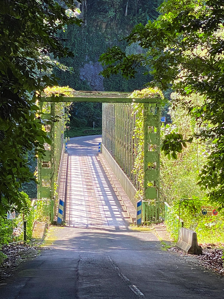 Découvrir Grand Rivière commune Nord Atlantique Martinique