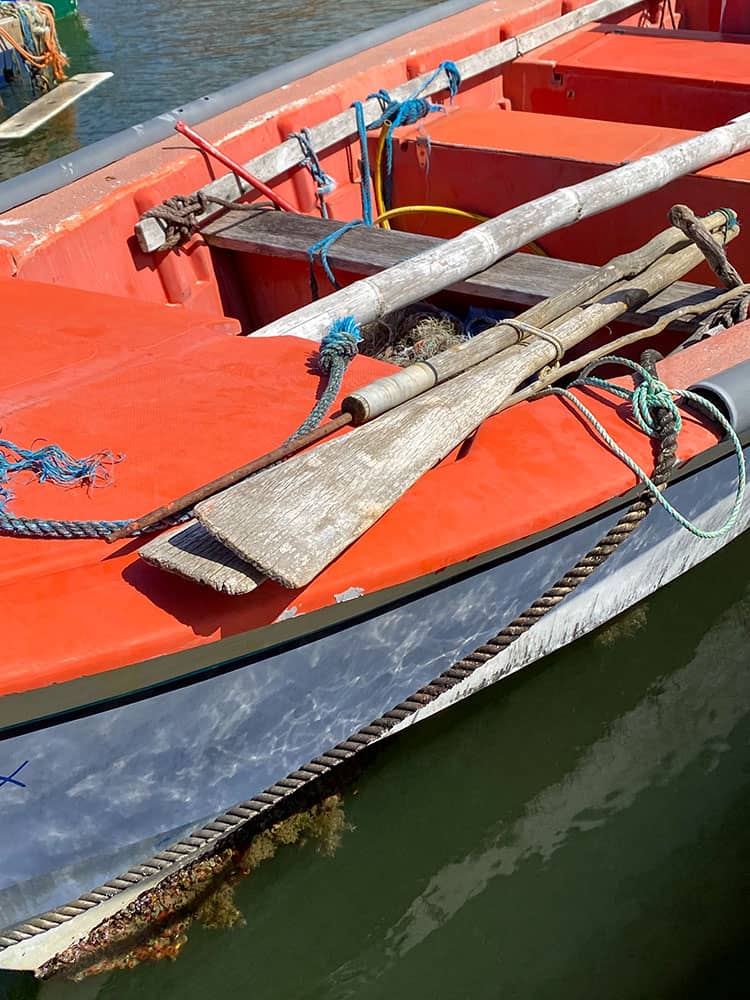 Découvrir Grand Rivière commune Nord Atlantique Martinique